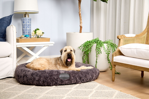 Pods 4 Pets: Luxury Machine Washable Dog Beds – PODS 4 PETS