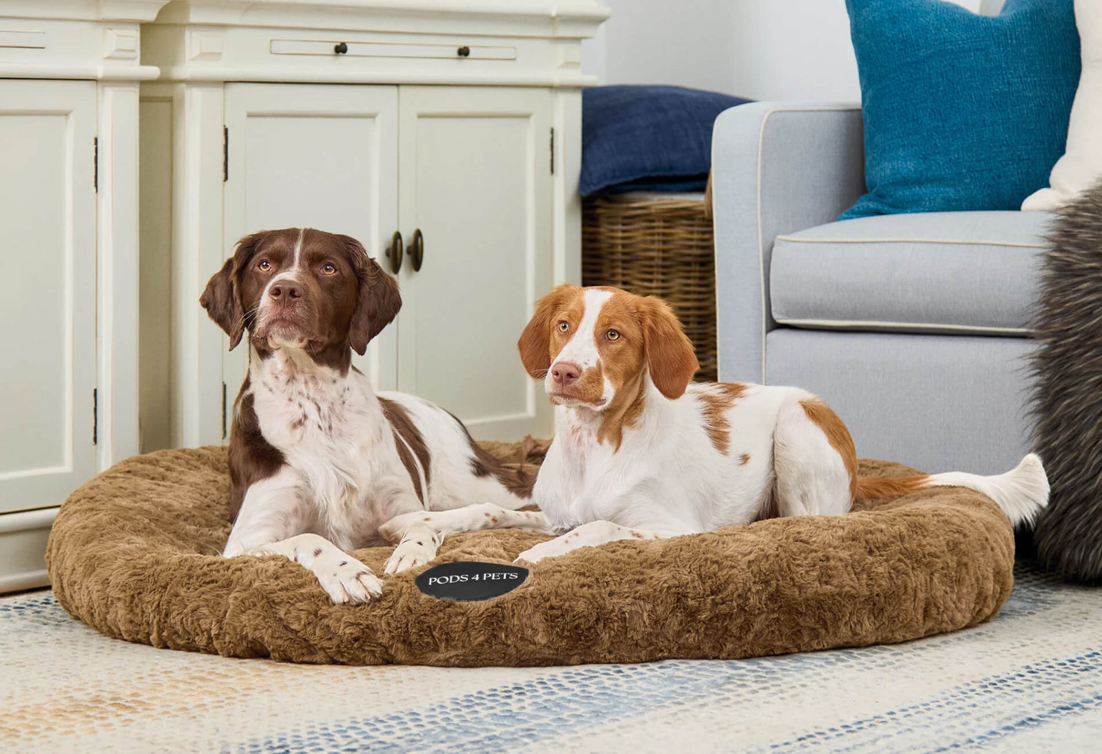 Pods 4 Pets: Luxury Machine Washable Dog Beds – PODS 4 PETS